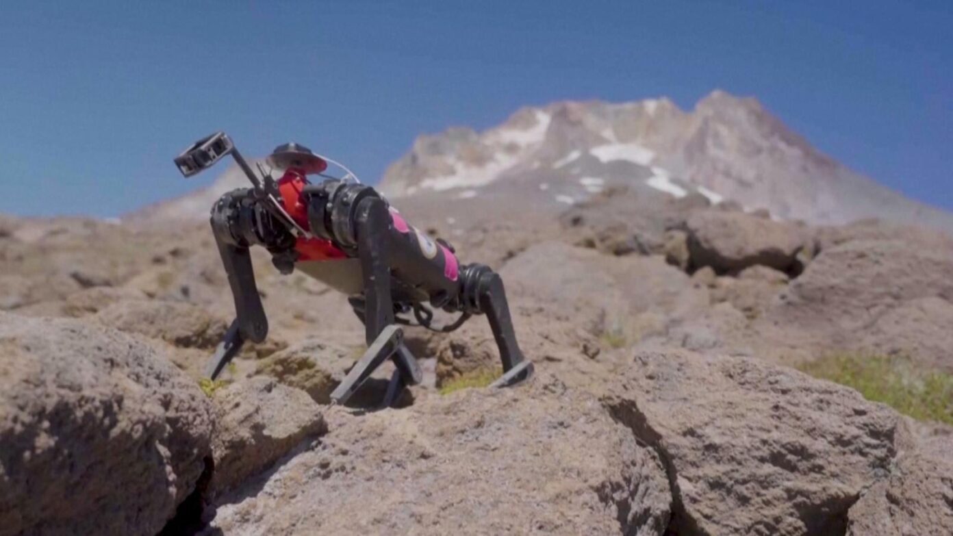 Así es Spirit, el robot cuadrúpedo que está siendo entrenado para ...
